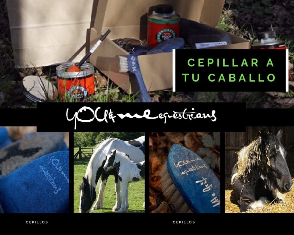 CEPILLAR A TU CABALLO - YOU&ME equestrians